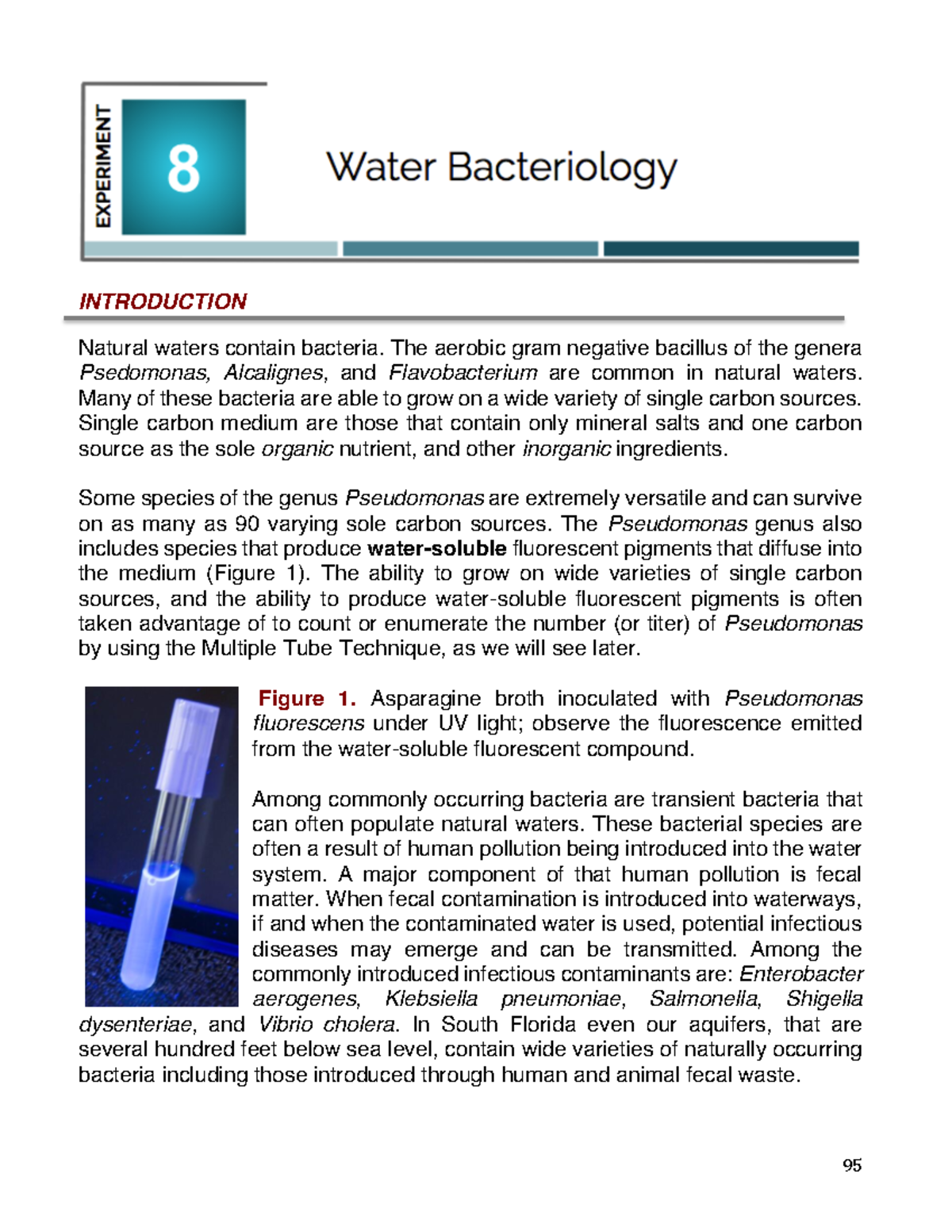 Experiment+8%3B+Water+Bacteriology part 2 - INTRODUCTION Natural waters ...