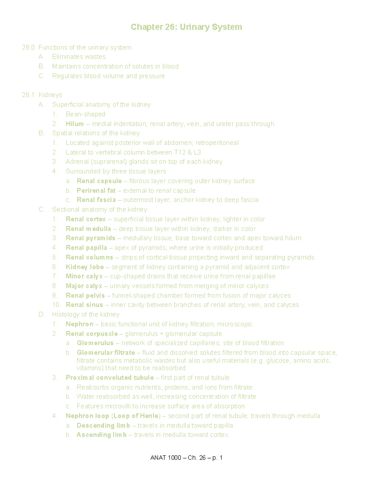Ch 26 Outline Lecture Notes Ch 26 Chapter 26 Urinary System 26