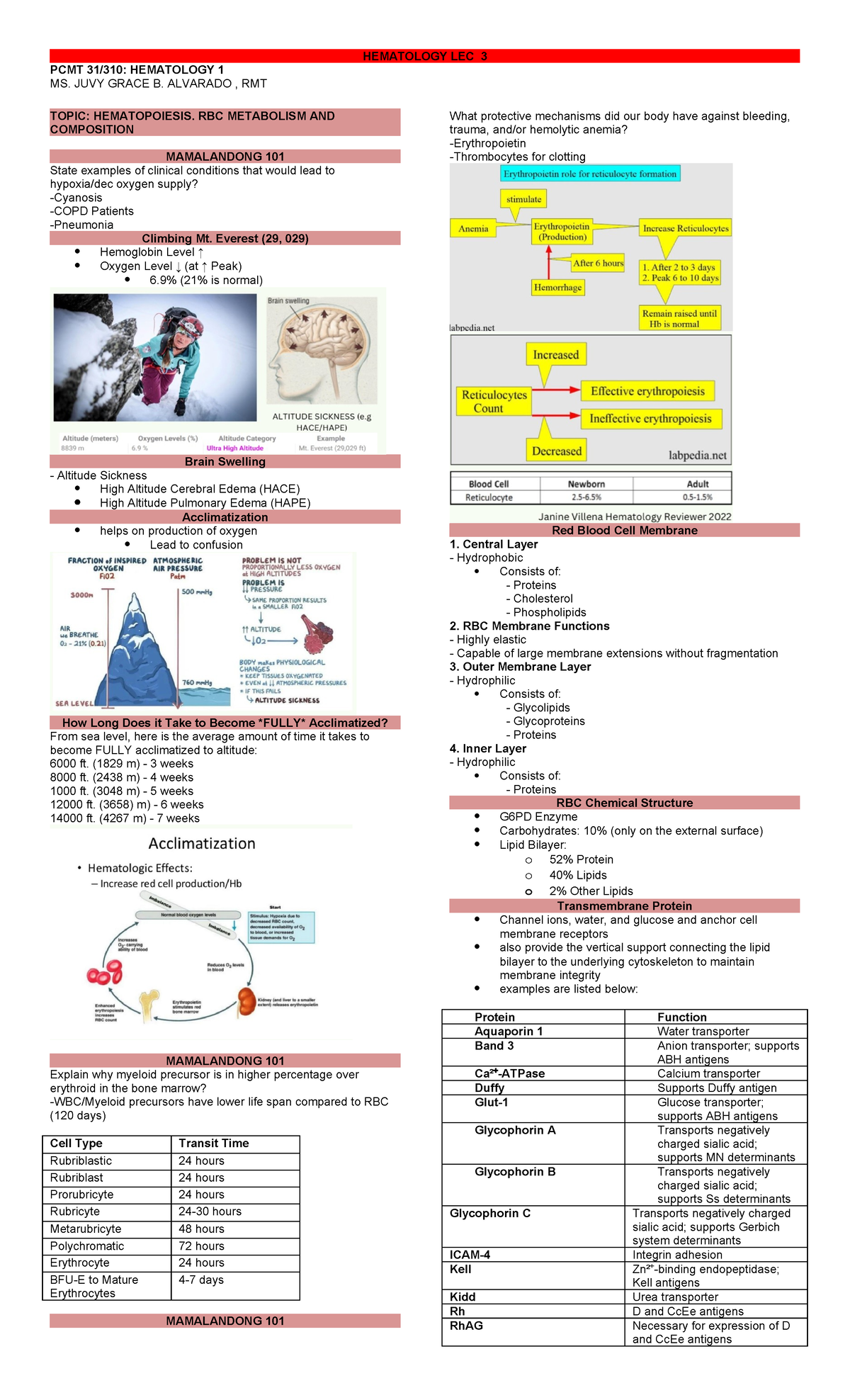 Transes - Hema - HEMATOLOGY LEC 3 PCMT 31/310: HEMATOLOGY 1 MS. JUVY GRACE B. ALVARADO , RMT ...