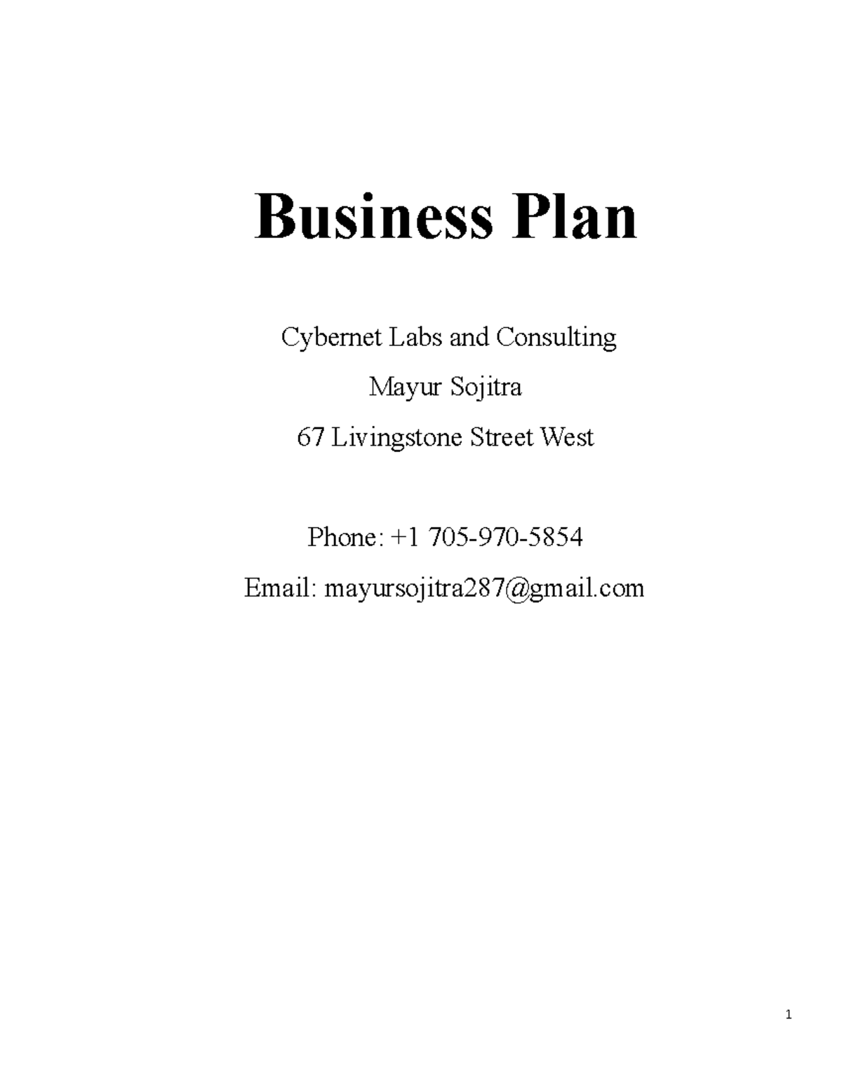 B-Plan Template - None - Business Plan Cybernet Labs and Consulting ...