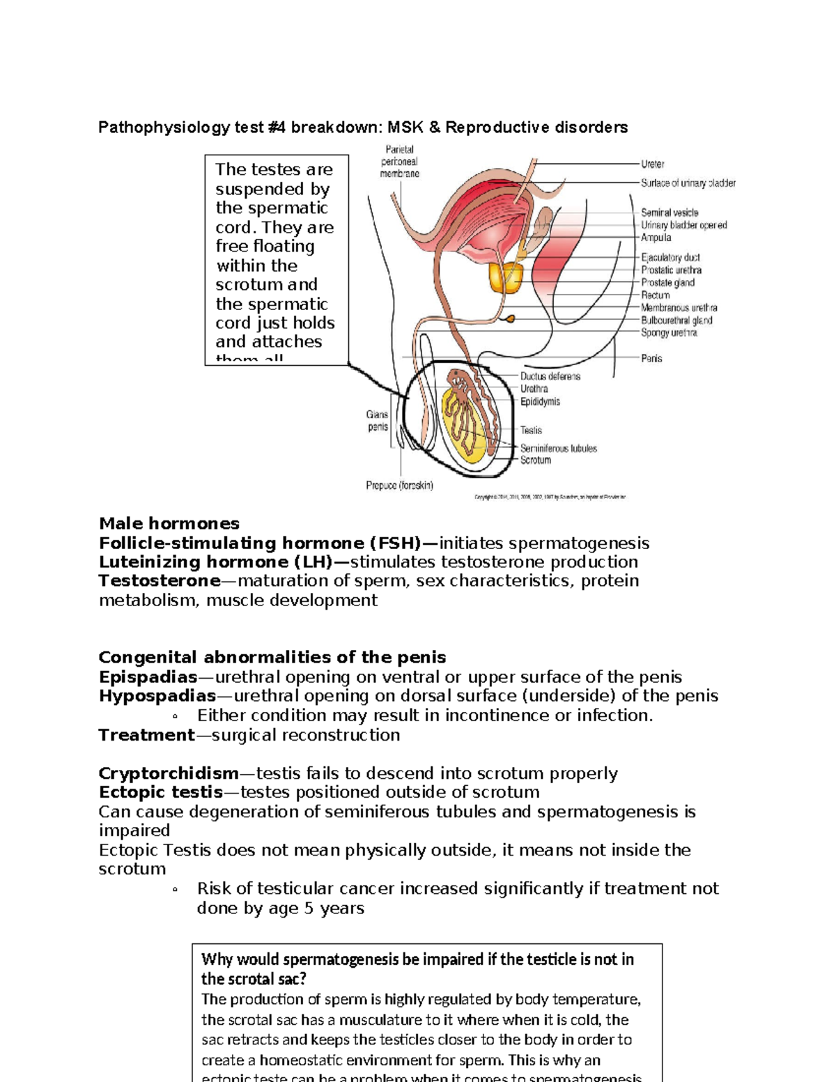 Pathophysiology test #4 notes - Pathophysiology test #4 breakdown: MSK ...