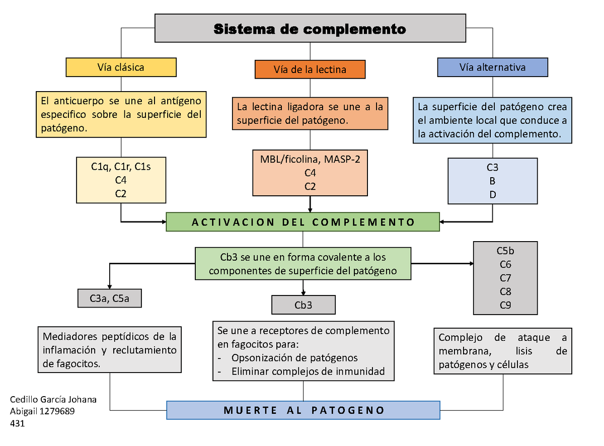 Sistema Complementos cuestionarios de videos de inmunologia - Sistema de complemento Vía clásica ...