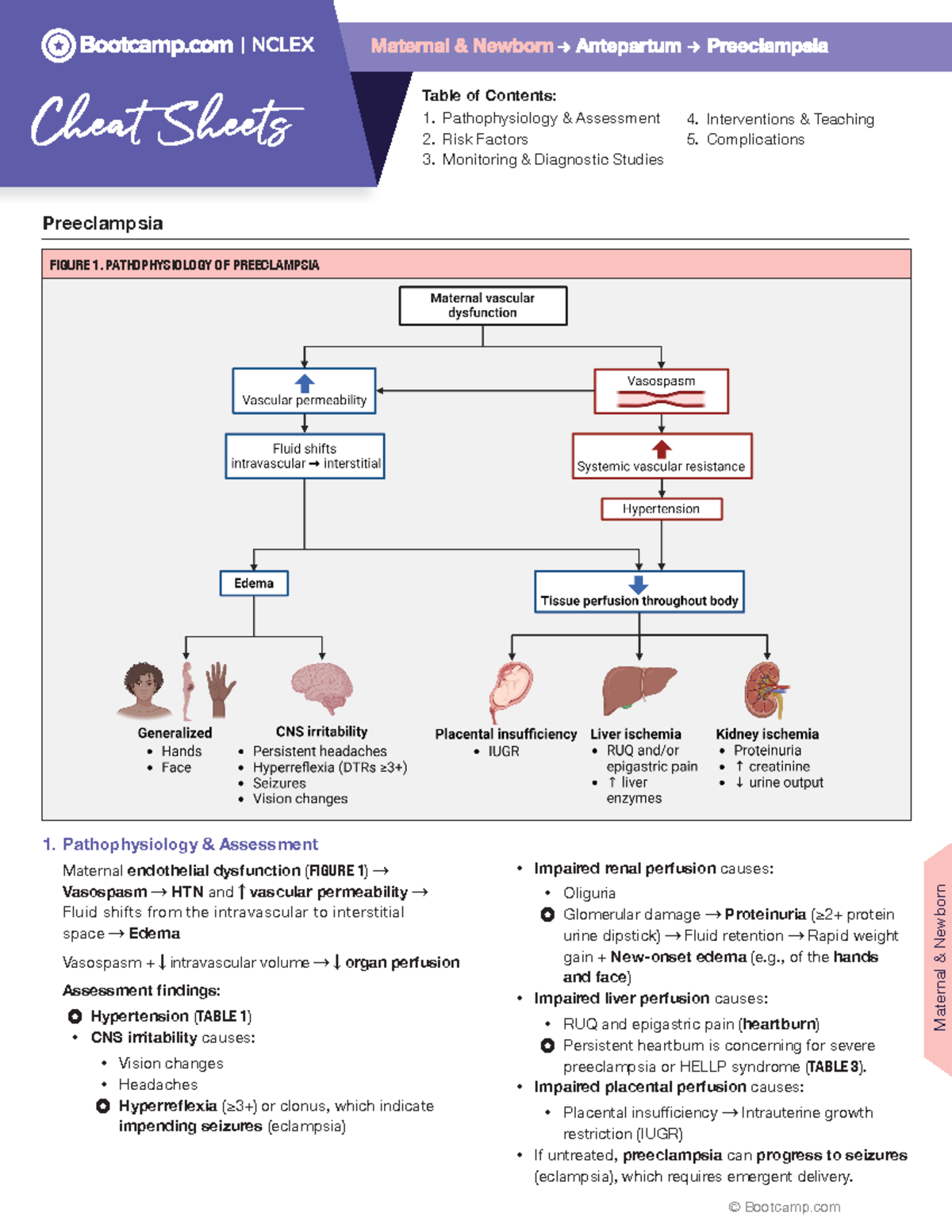 Pre-eclampsia juiikl - Table of Contents: 1. 2. 3. Pathophysiology & AssessmentRisk - Studocu