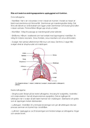 Endokrina systemet - Endokrina systemet Hormoner är som kemiska ...