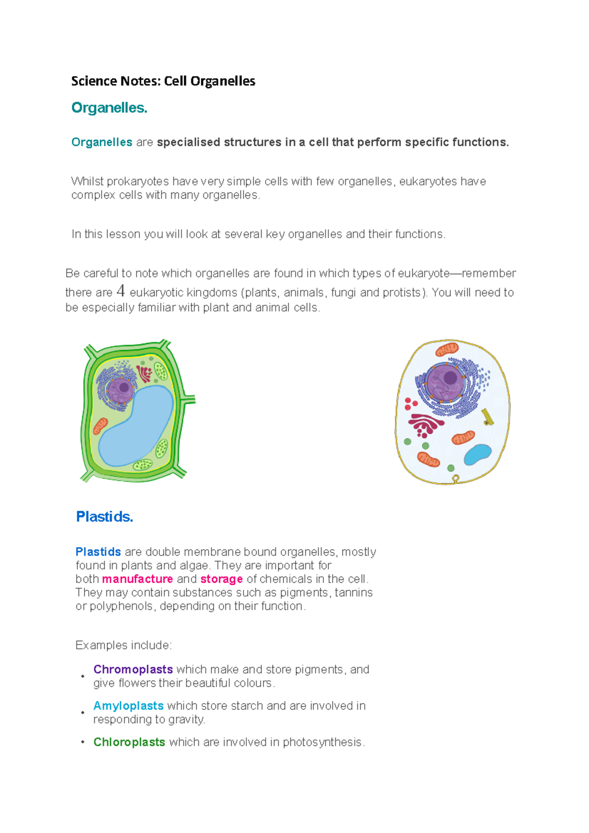 Science Notes Cell Organelles - Science Notes: Cell Organelles ...