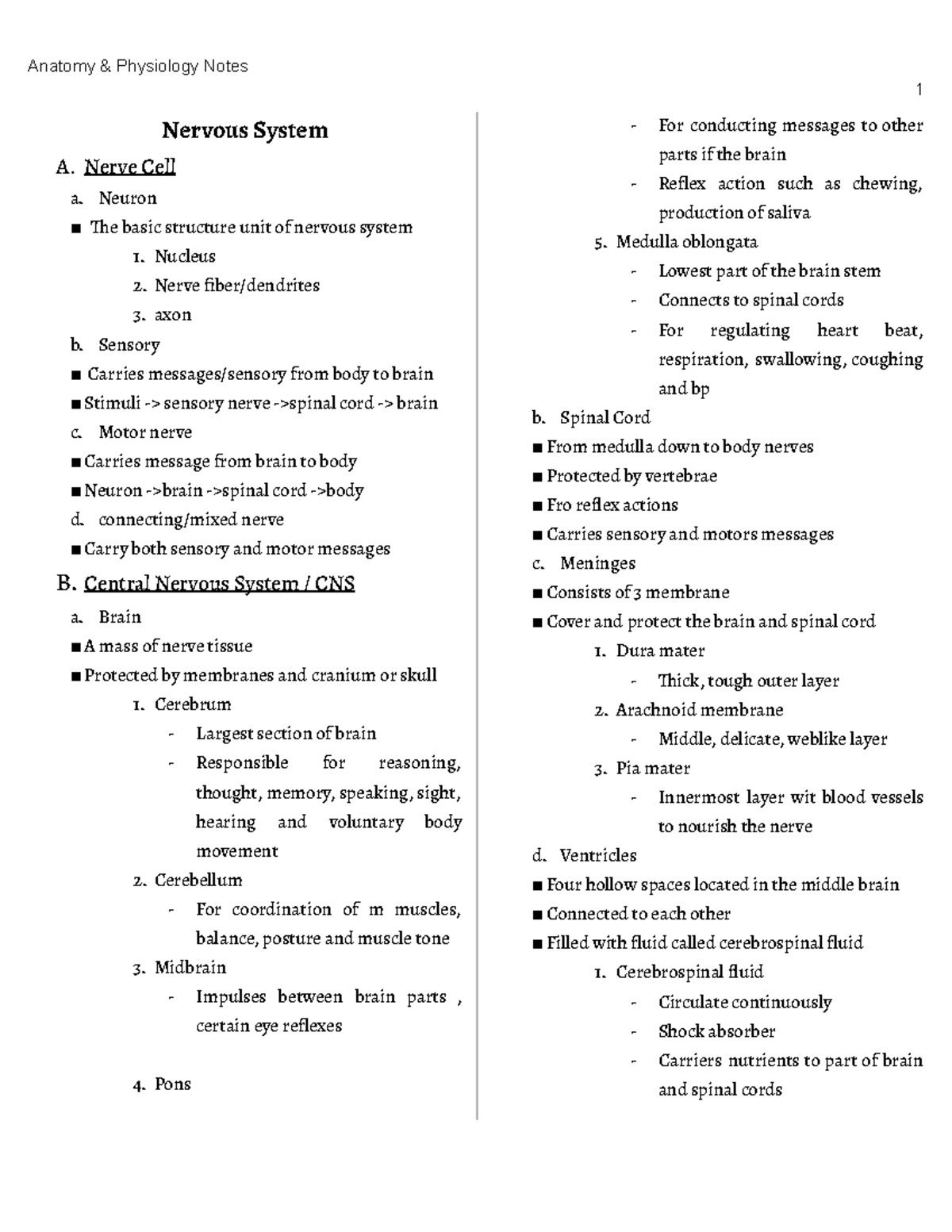 Anaphy - Nervous system notes - BS Psychology - Studocu