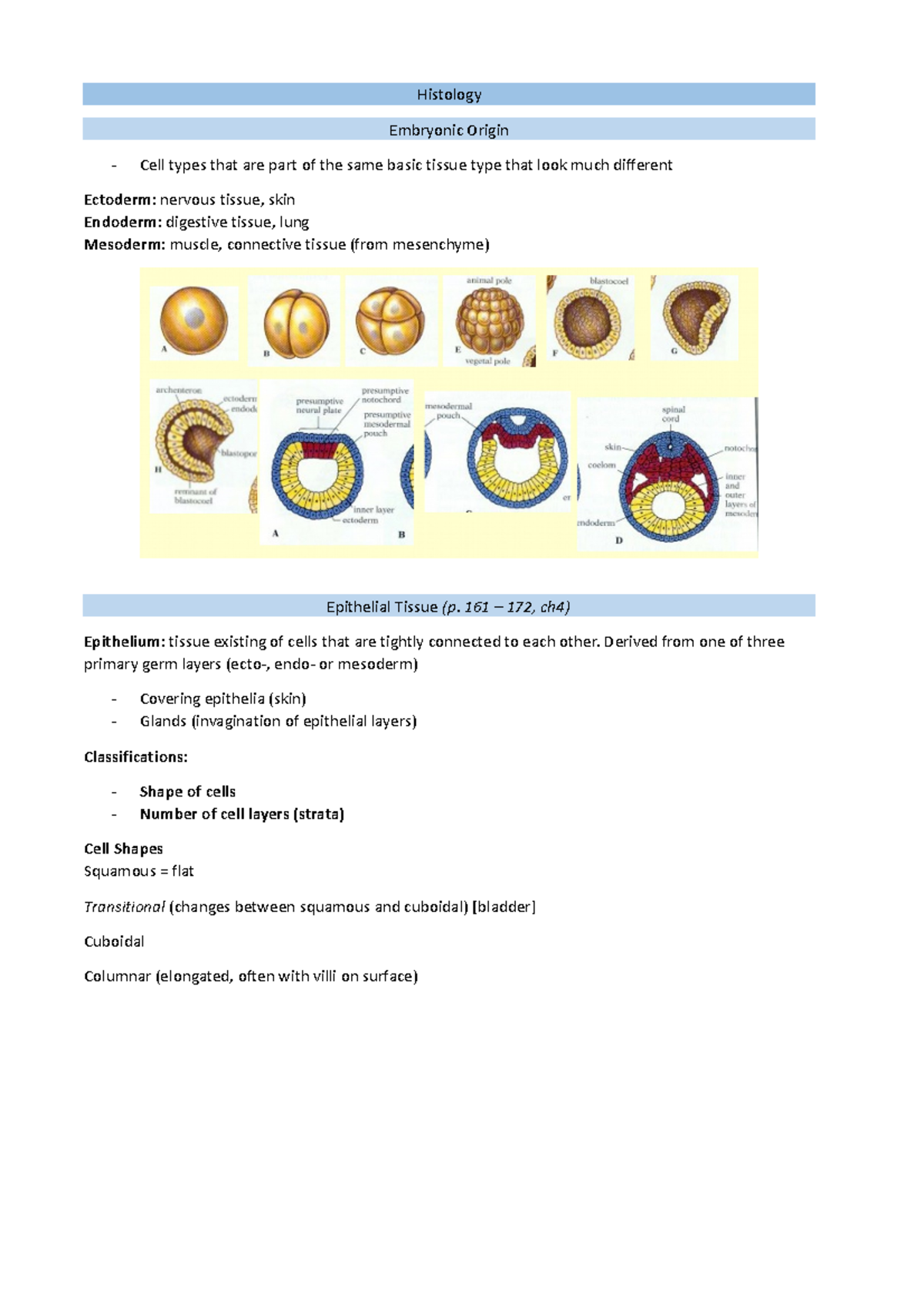 Histology - epithelial and gland tissue - Histology Embryonic Origin ...
