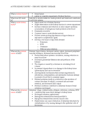 Diabetes Mellitus ATI System Disorder Template - ACTIVE LEARNING ...