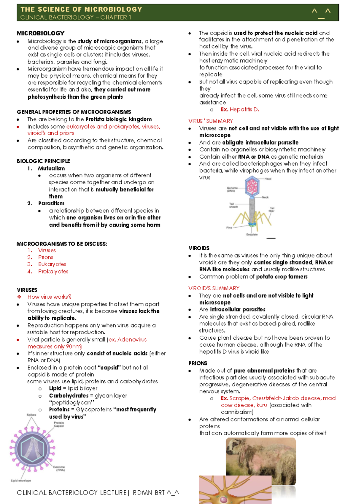 Chapter 1 Science OF Microbiology Bacteriology LEC - THE SCIENCE OF ...