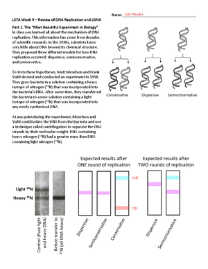 Week 7b Prokaryotic Gene Expression Worksheet 2 - Name