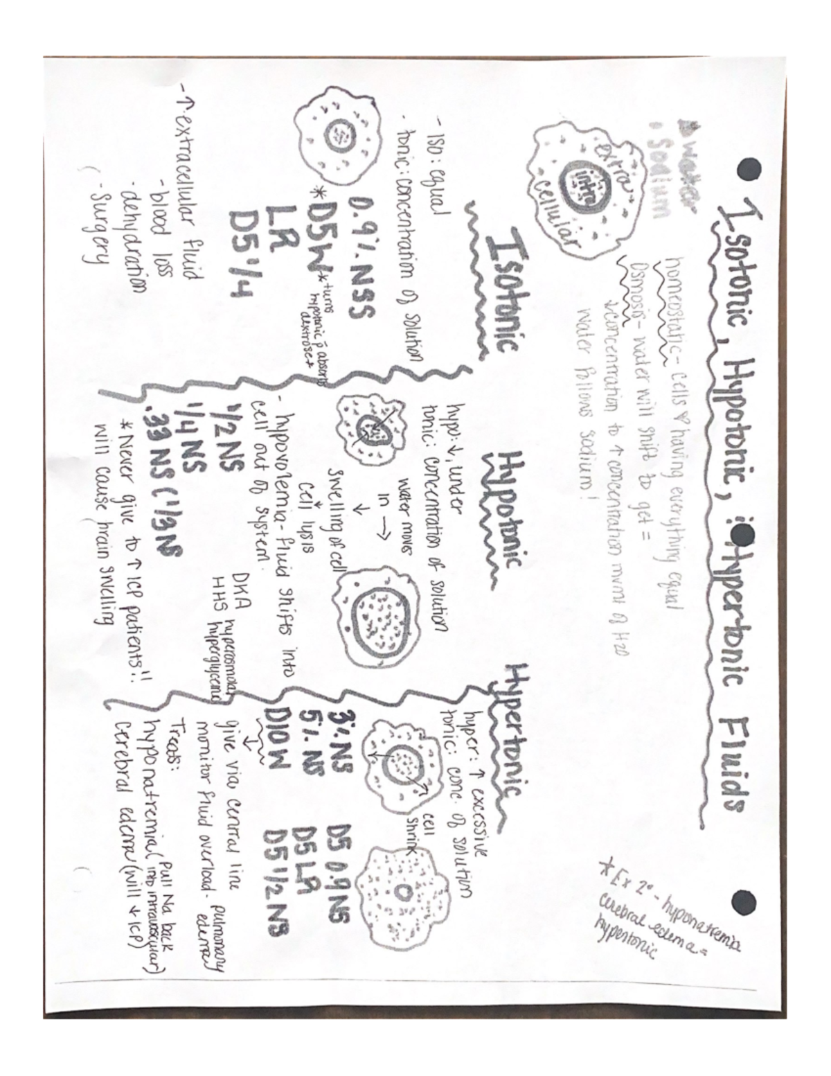 Dehydration - Reference sheet - BIO201 - Studocu