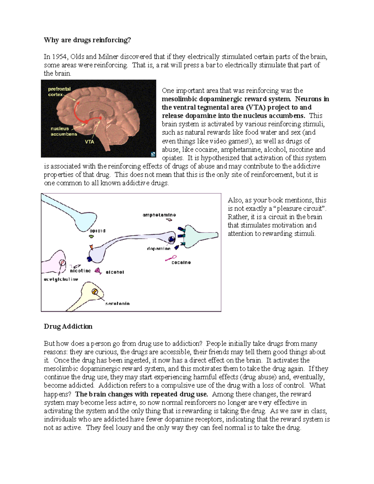 Drug Addiction - Summary Psychophysiology: Human Behavior and ...