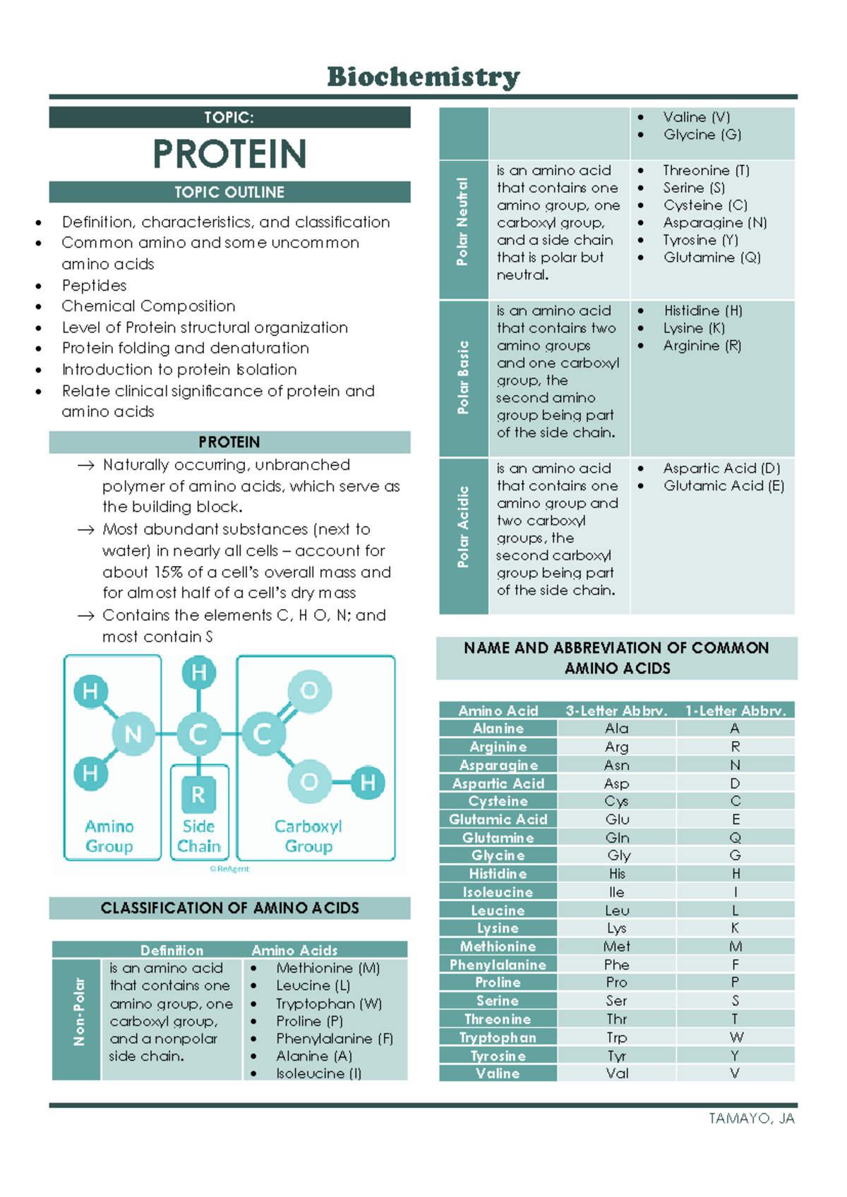 Biochemistry-Protein - TOPIC: PROTEIN TOPIC OUTLINE • Definition ...