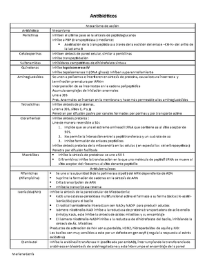 Derivados DE LAS Pirazolonas - DERIVADOS DE LAS PIRAZOLONAS METAMIZOL ...