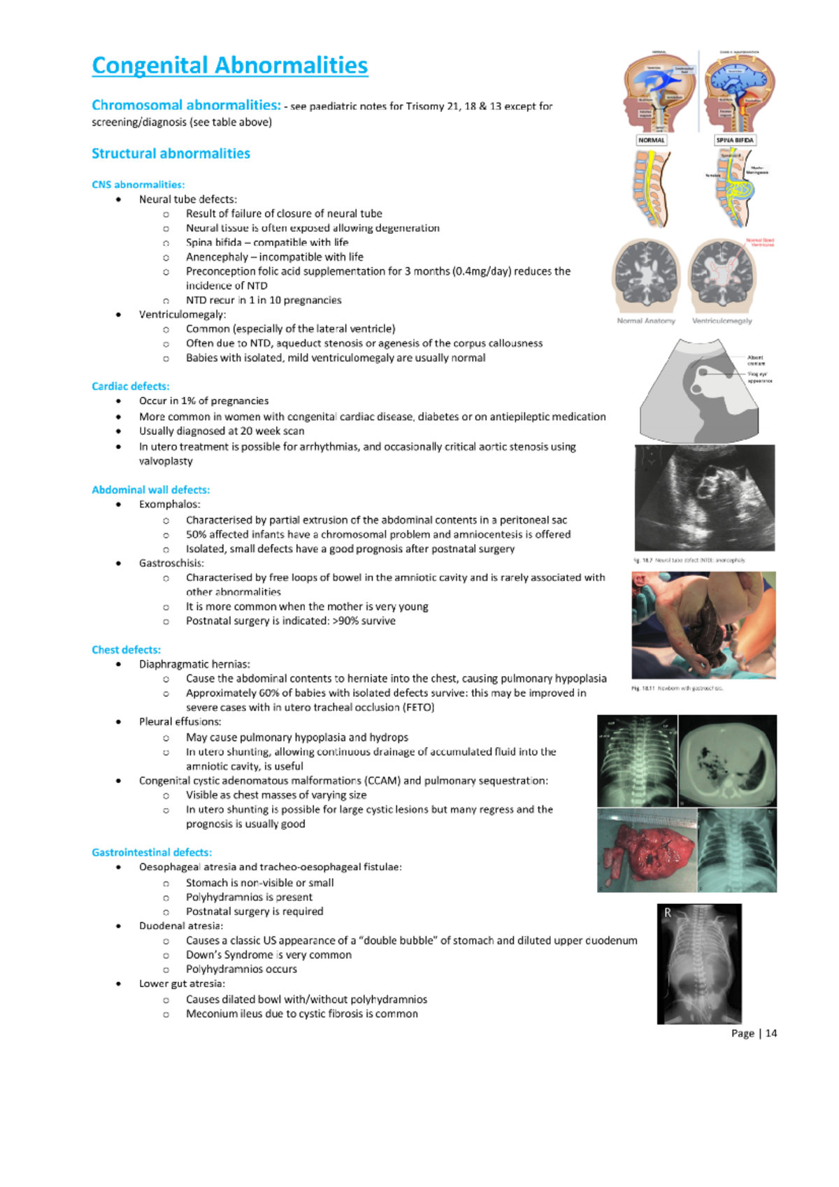 Congenital Abnormalities - MED4017 - Studocu