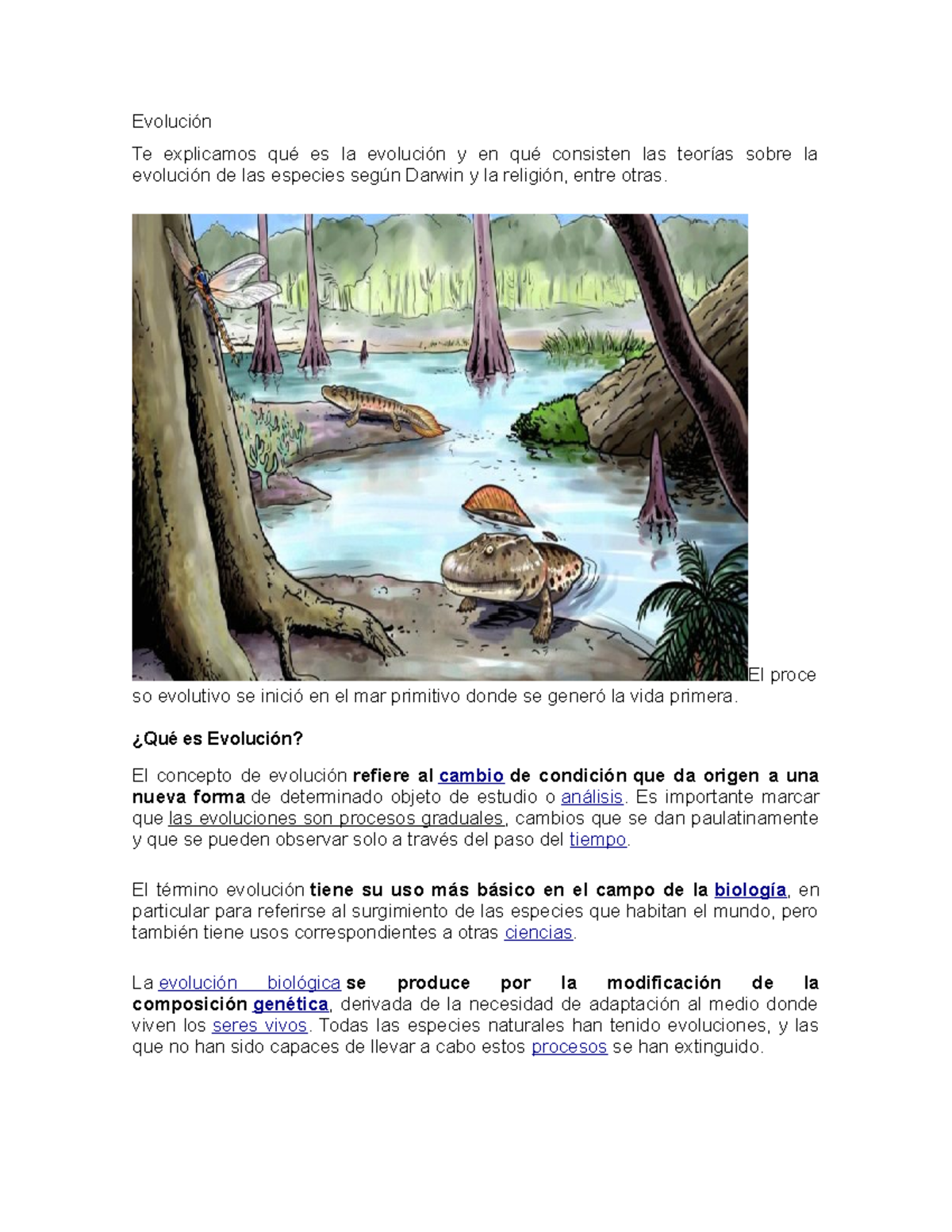 Evolución Escolar - apuntues de bilogia - Evolución Te explicamos qué ...