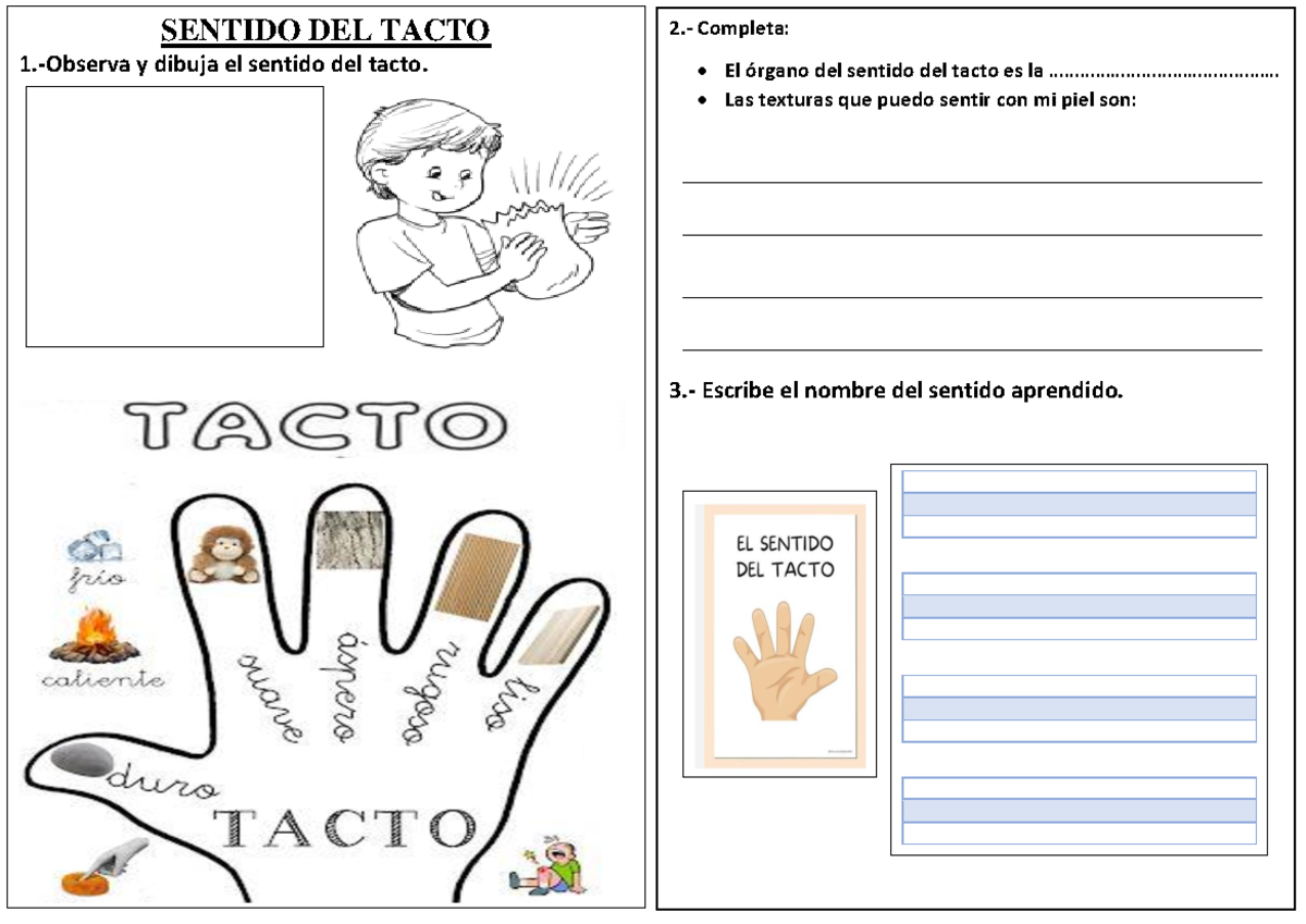 Ficha tacto - Opinion publica - SENTIDO DEL TACTO 1.-Observa y dibuja ...