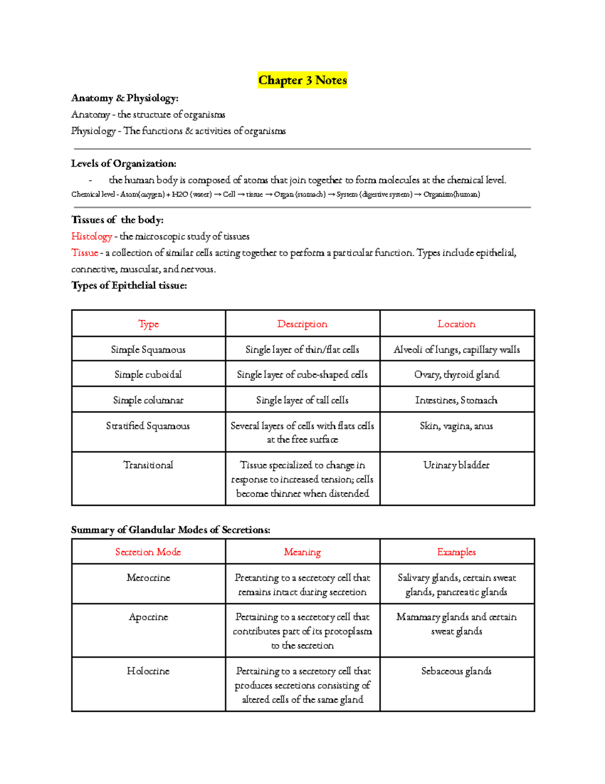 Chapter 3 Notes - SYSTEMS IN depth - Chapter 3 Notes Anatomy ...
