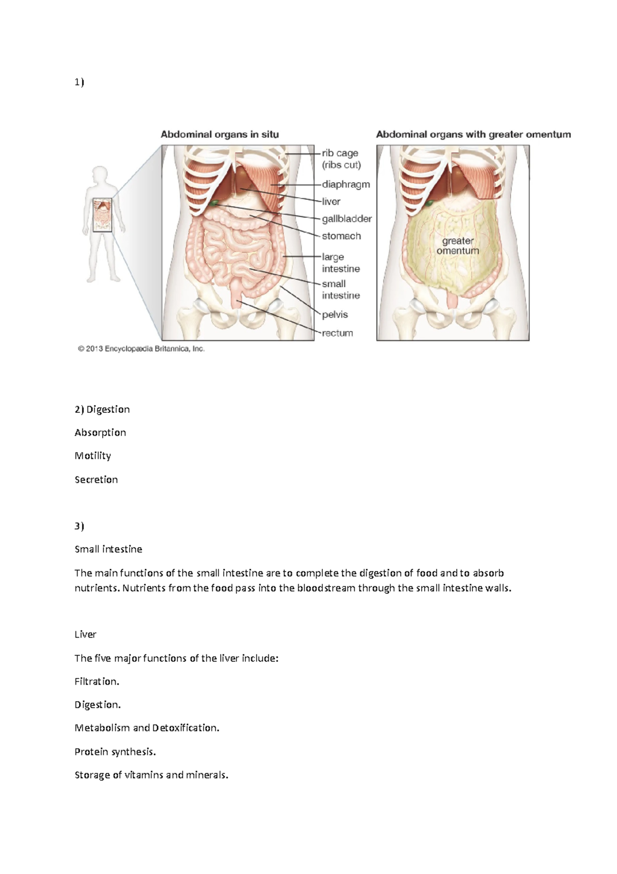 A.p answer - 1) Digestion Absorption Motility Secretion 3) Small ...
