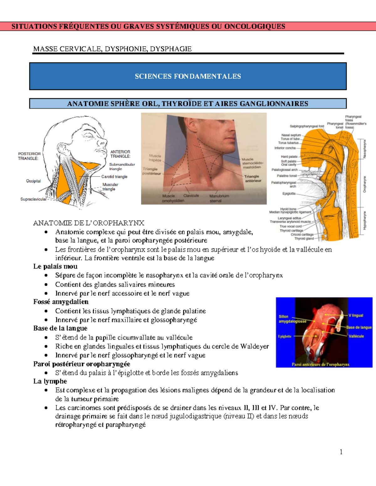 Masse cervicale, dysphonie, dysphagie - MASSE CERVICALE, DYSPHONIE ...