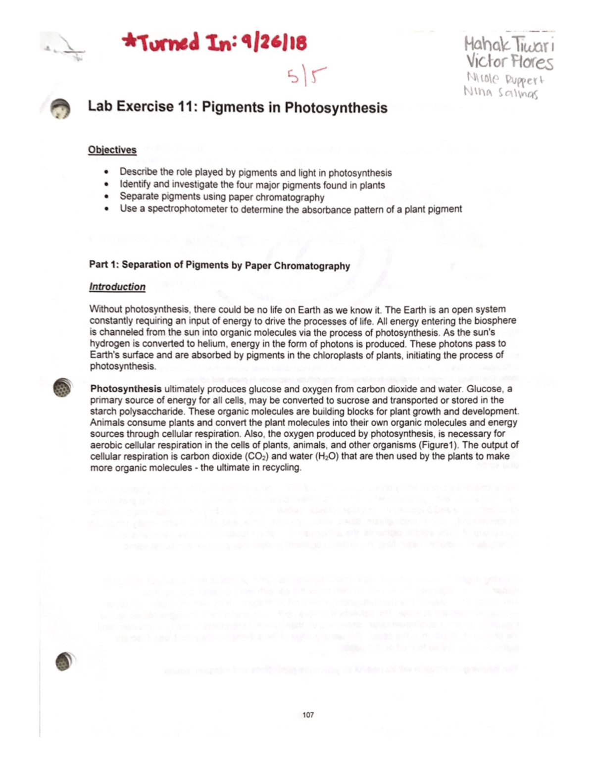 Lab 11 - Lab Work - BIOL-115 - Studocu