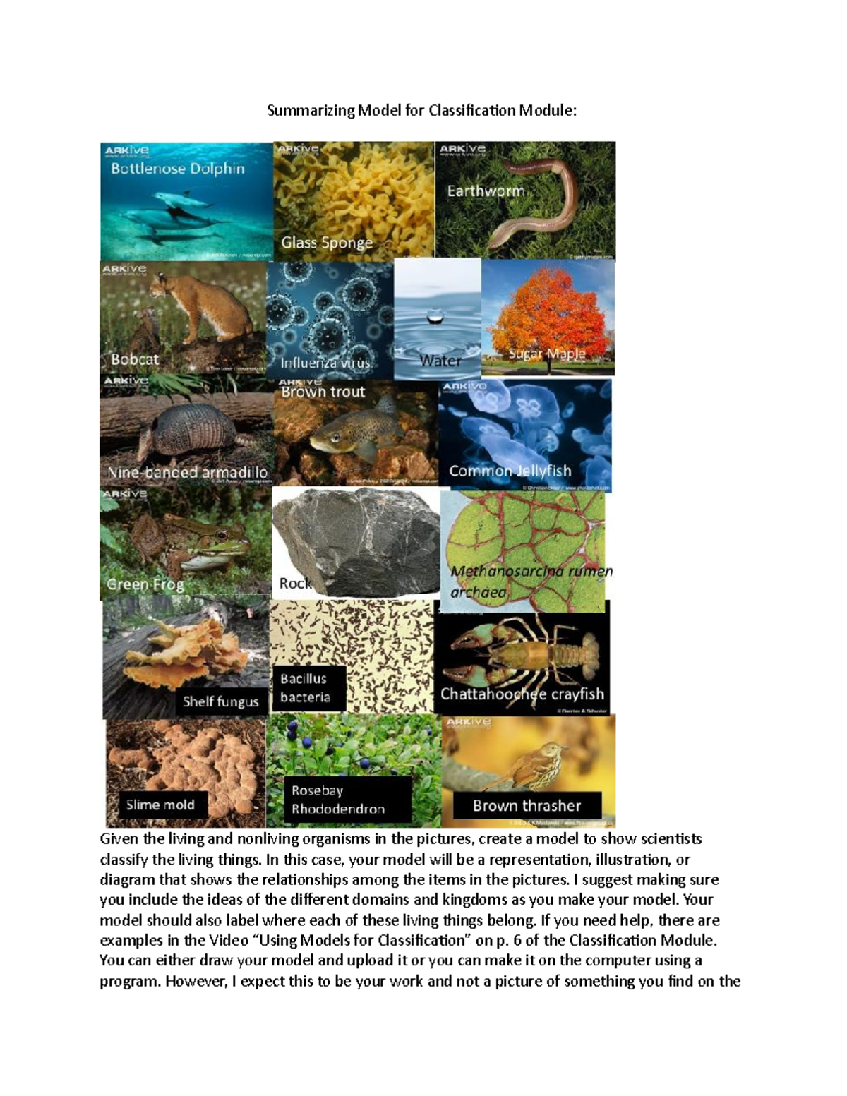 Summarizing Model for Classification - In this case, your model will be ...