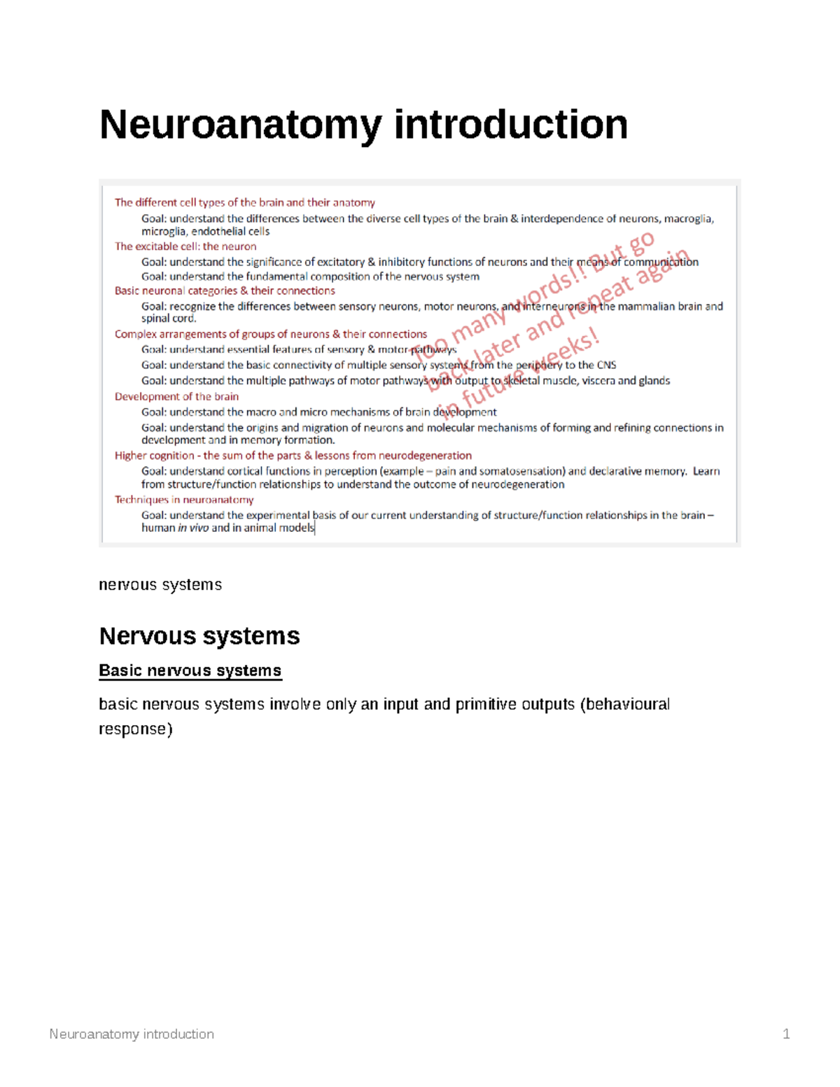 Neuroanatomy Introduction Neuroanatomy Introduction Nervous Systems