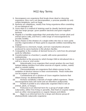 Key word 7 - Chapter 7 key words - Central nervous system - Portion of ...