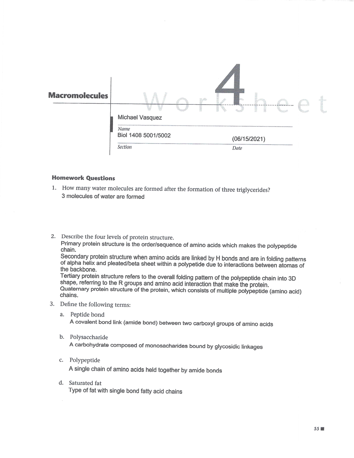 Worksheet 4 Final MPV - Lab manual exercises 3 for biology intro non ...