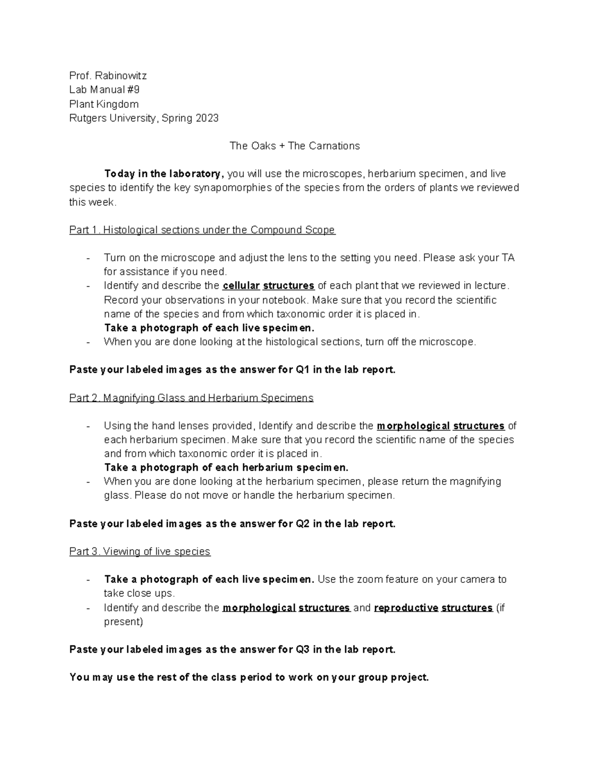 Lab+%239+%282%29 - Prof. Rabinowitz Lab Manual Plant Kingdom Rutgers ...