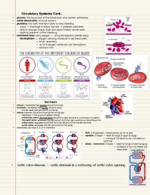 Animals and Circulatory System 2 - Circulatory Systems • present in ...