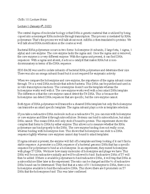 Bi Ch 111 Chapter 17 Textbook Notes - Bi/Ch 111 Textbook Notes Chapter ...