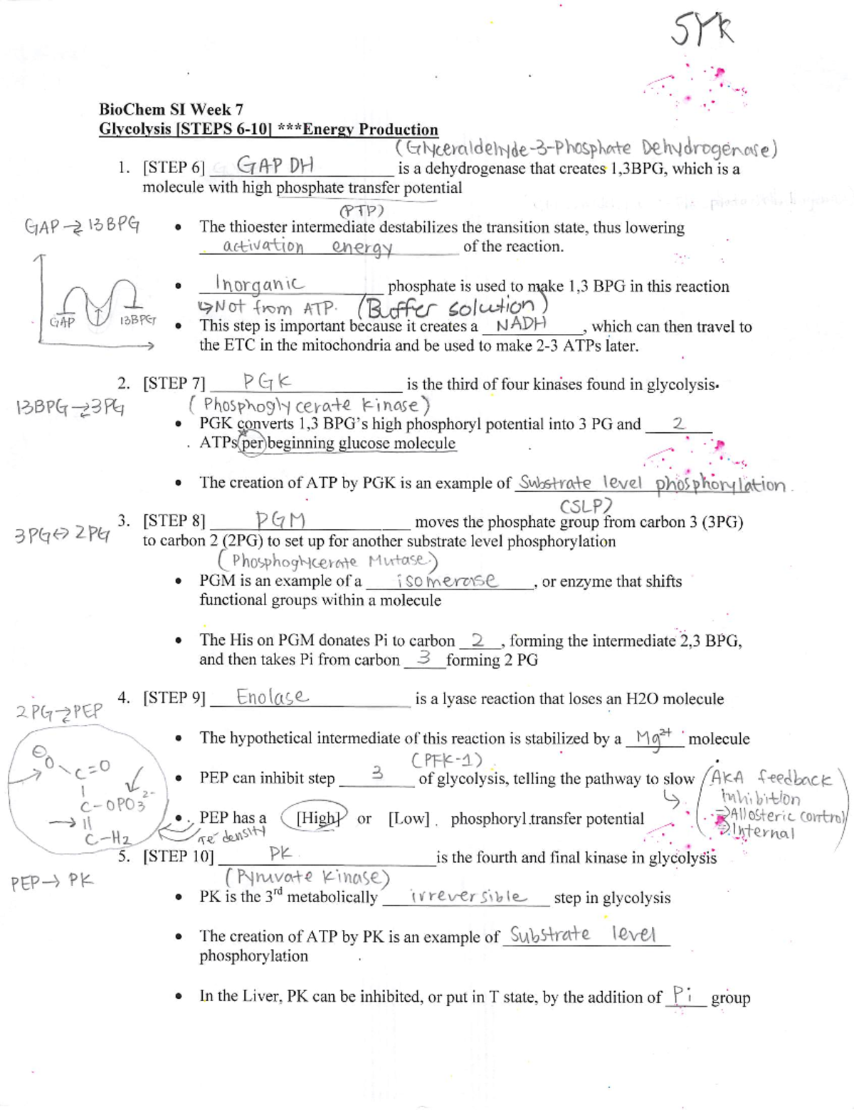 Biochemistry - Session Worksheet for Exam 3 - Dr. Mariani - BioChem SI ...