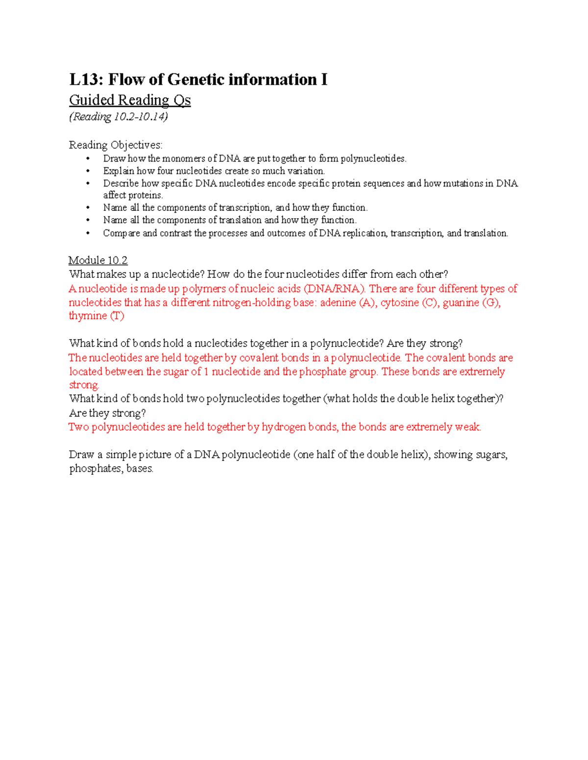 BIOL 101 Lesson 13 GRQ's - L13: Flow of Genetic information I Guided ...