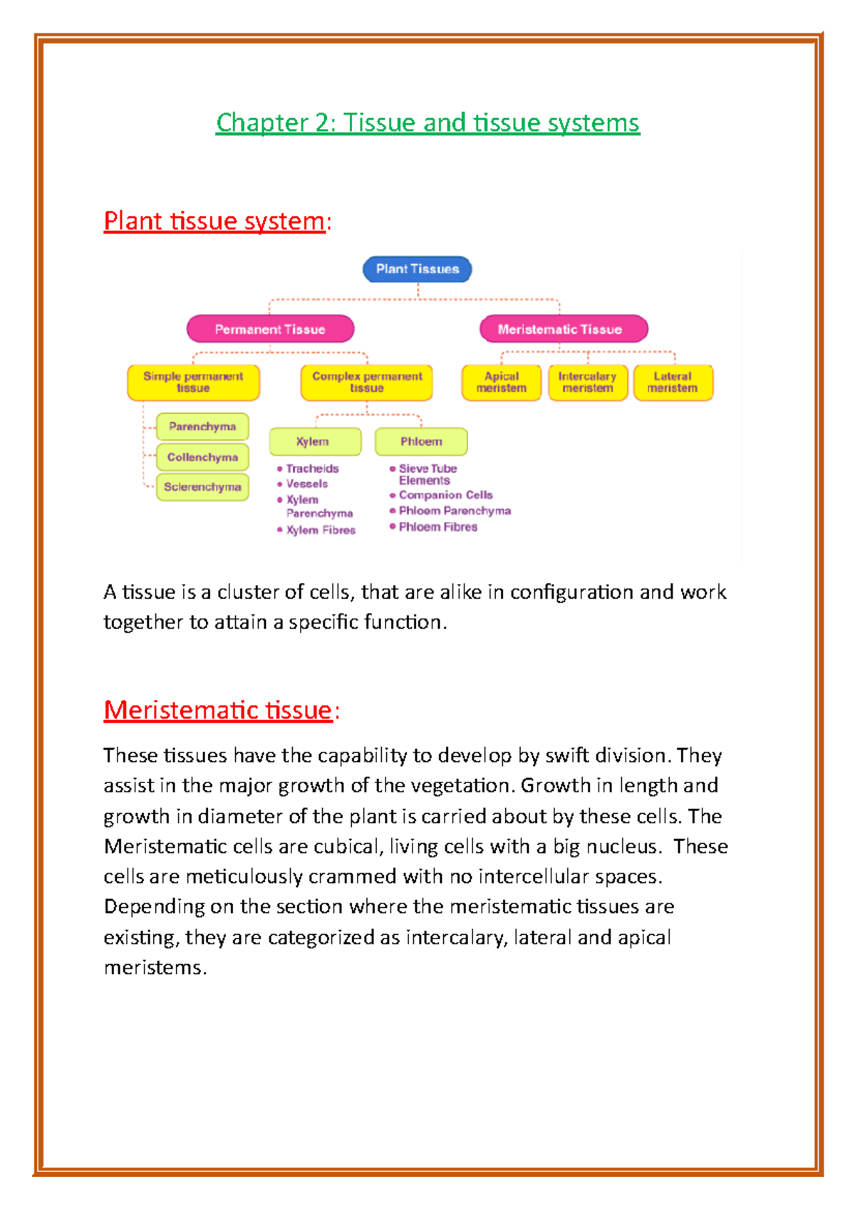 Chapter 2- Tissue AND Tissue Systems - Chapter 2: Tissue and tissue ...