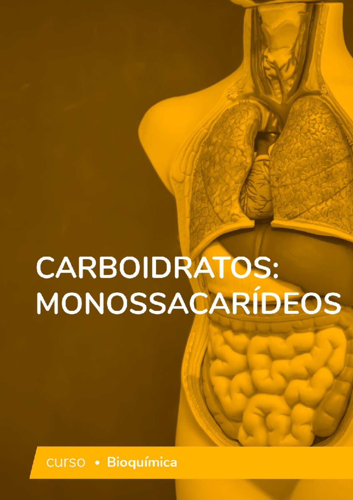 Monossacarideos - Resumen Biologia - CARBOIDRATOS Monossacarídeos ...