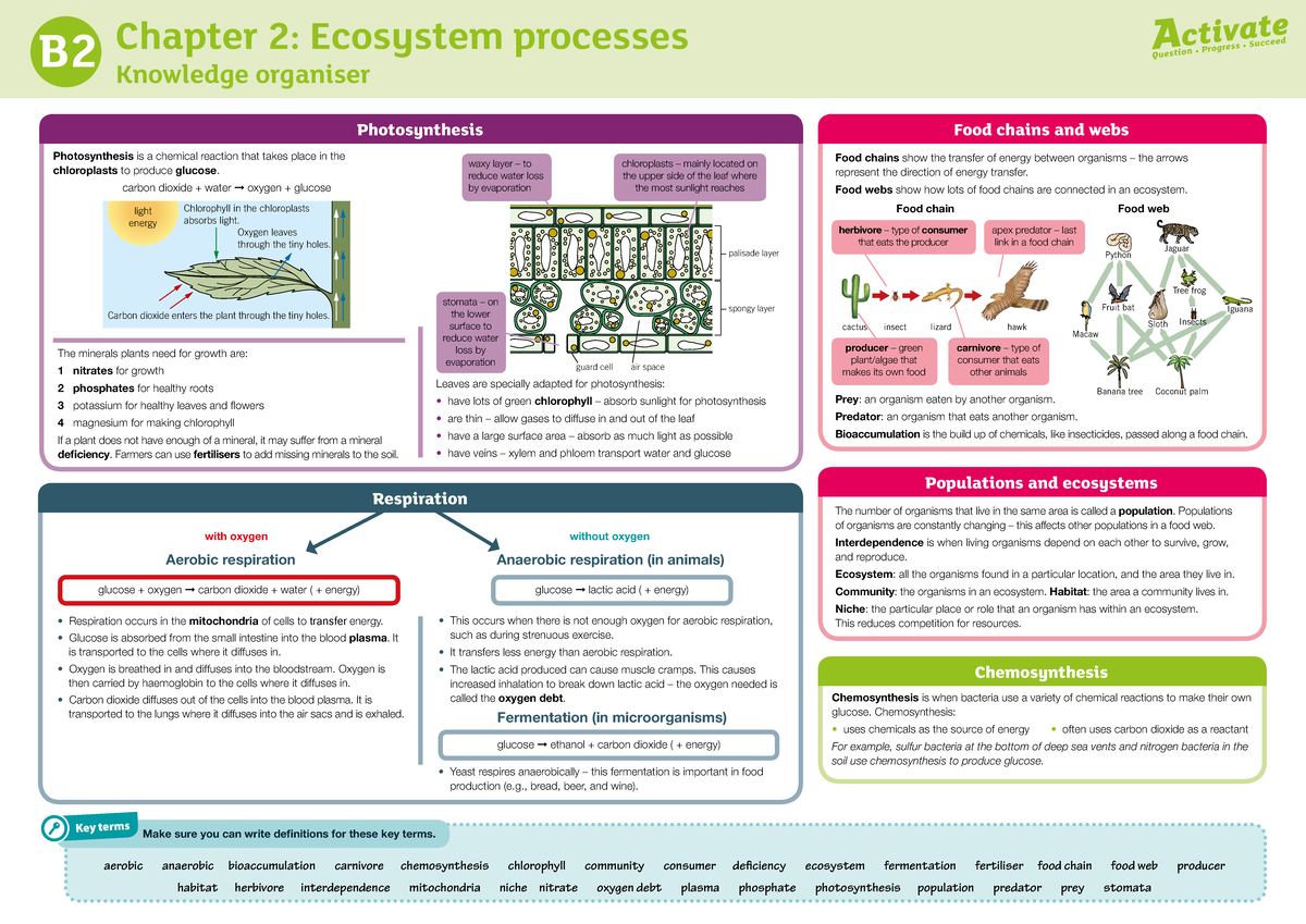 Ecosystem Processes Knowledge Organiser - Question • Pro Chapter 2: Ecosystem processes g ress ...