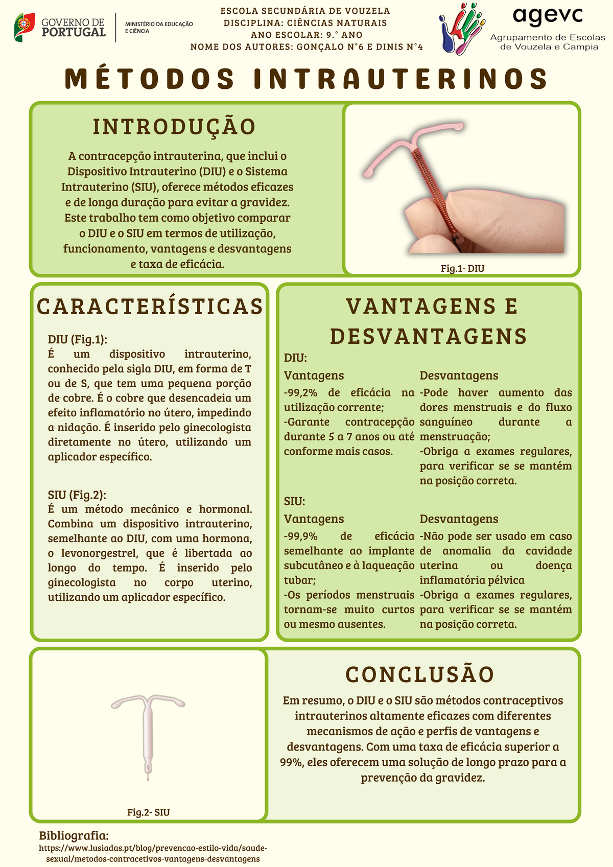 Métodos intrauterinos DIU e SIU - VANTAGENS E DESVANTAGENS INTRODUÇÃO ...