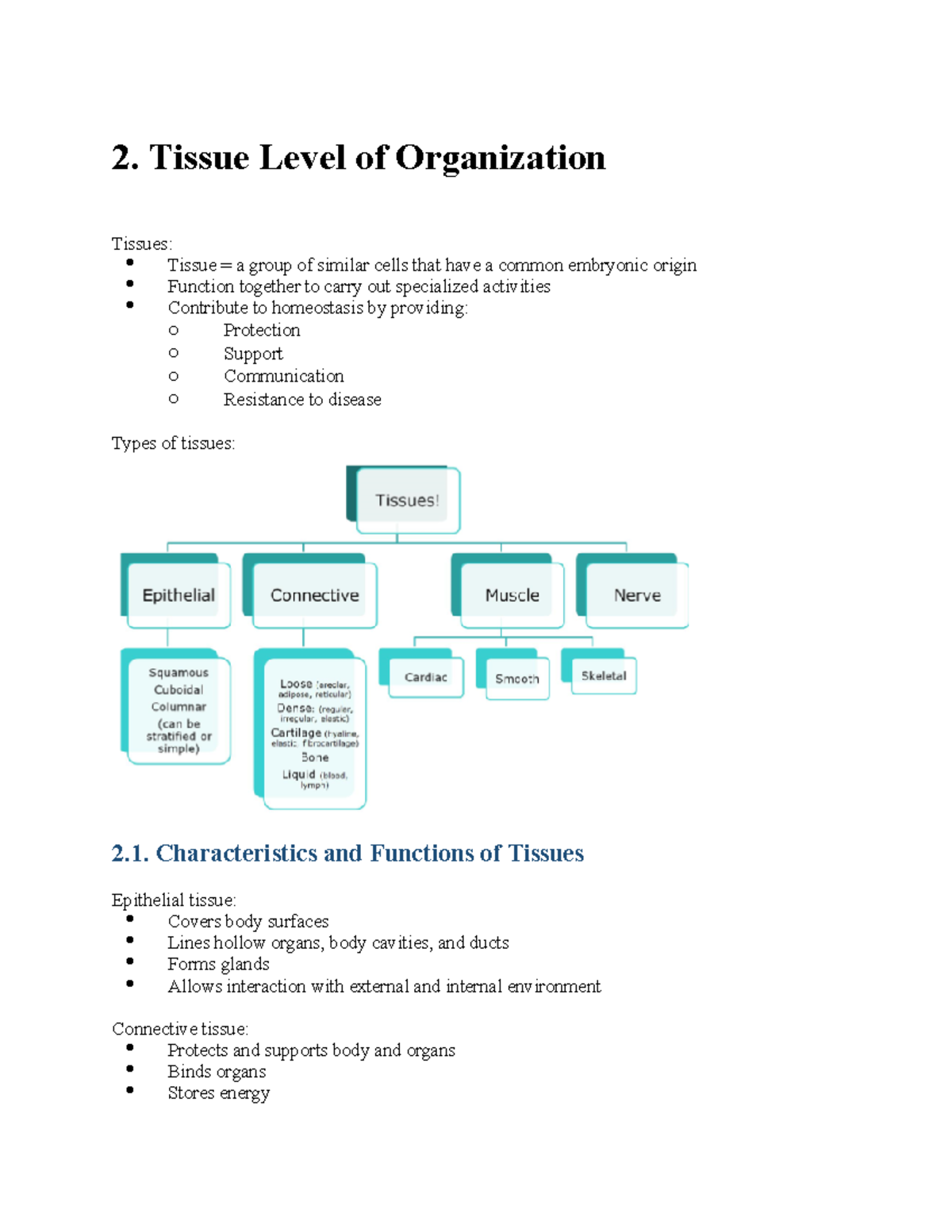 2. Tissue Level of Organization - 2. Tissue Level of Organization ...
