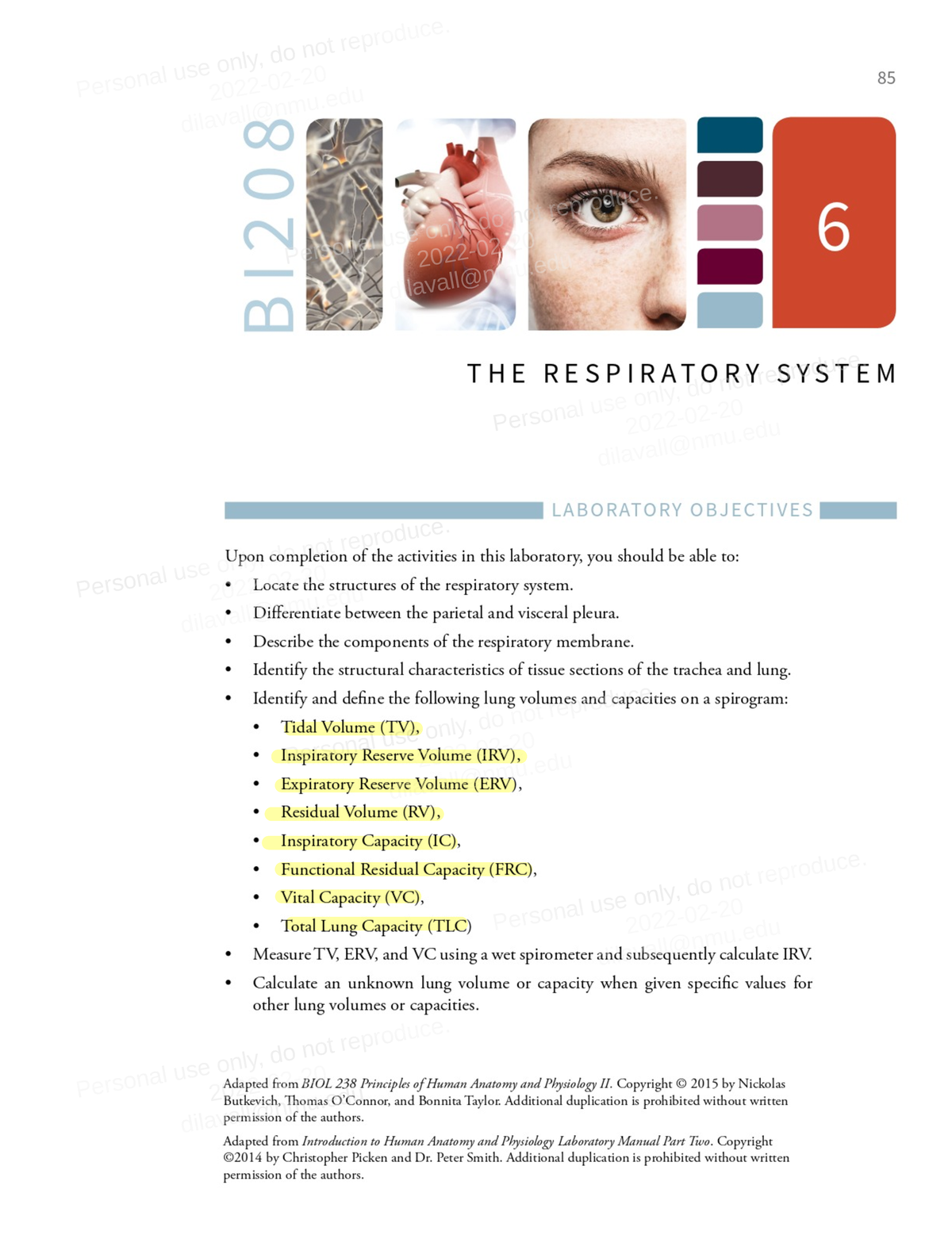 Lab 6 - Respiratory System - Upper : Nostrils Lower : Larynx Naval ...