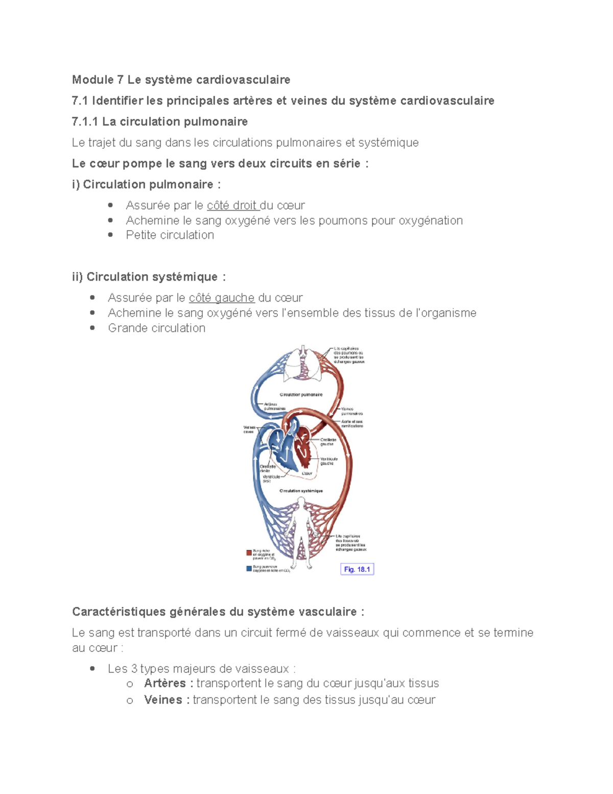 Notes ANP -Chapitre 7 Système cardiovasculaire - Module 7 Le système ...