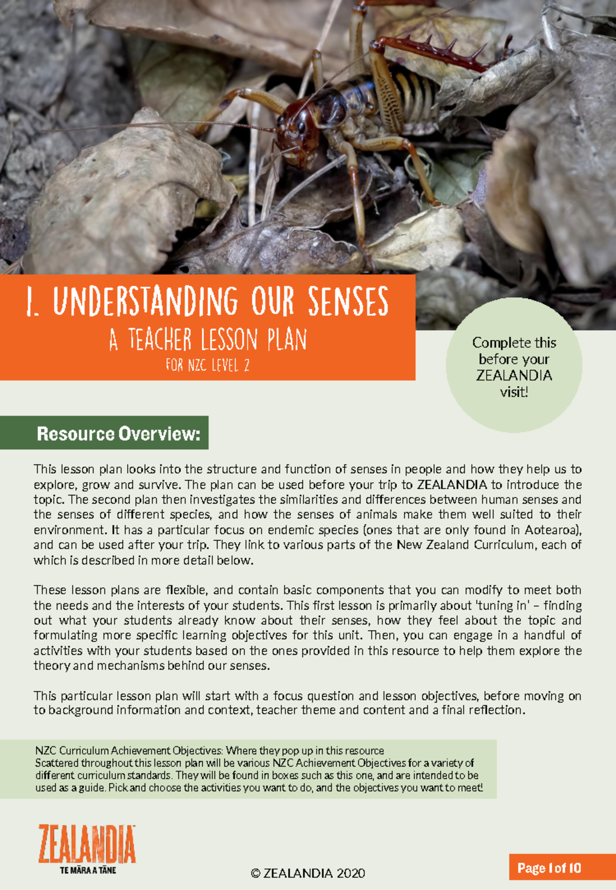 1 Understanding our Senses-Teacher Lesson Plan - Complete this before ...