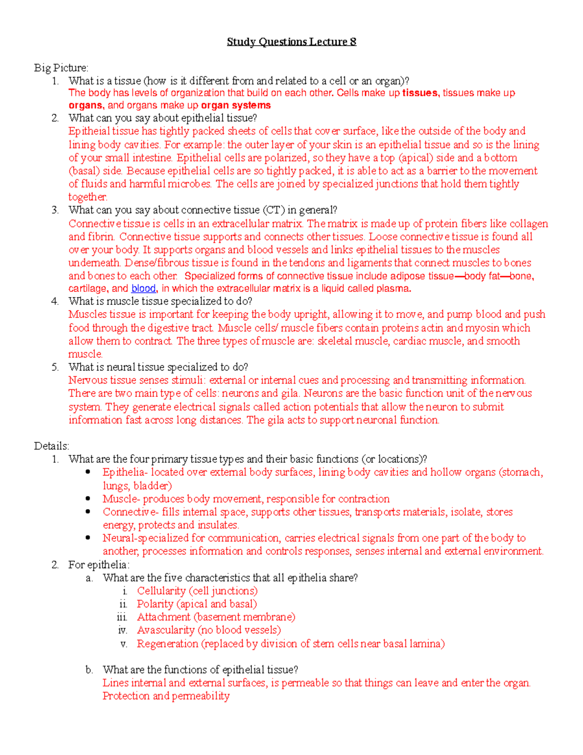 Lecture 8 Study Questions - Study Questions Lecture 8 Big Picture: 1 ...