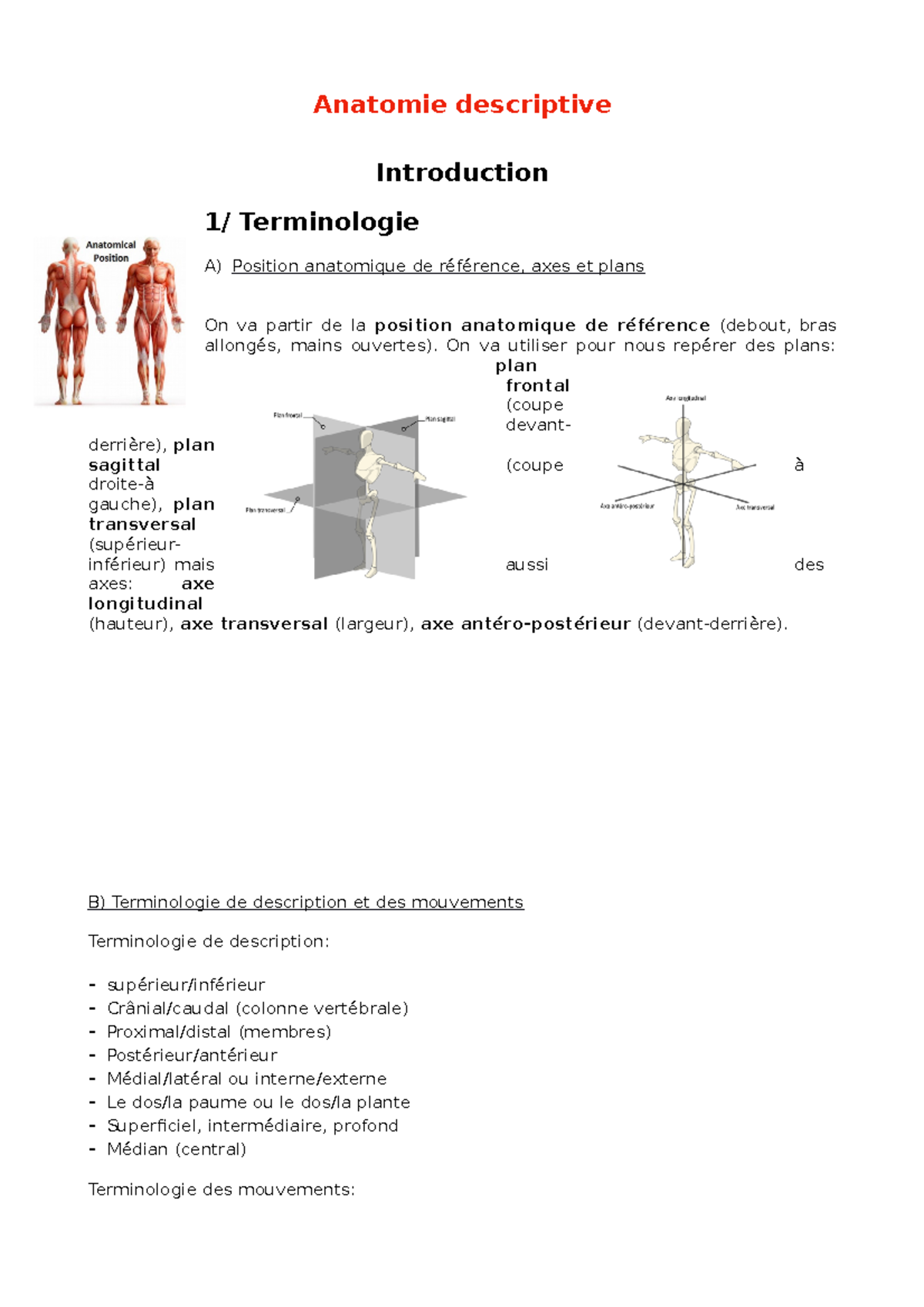 CM1 anatomie - Anatomie descriptive Introduction 1/ Terminologie A ...