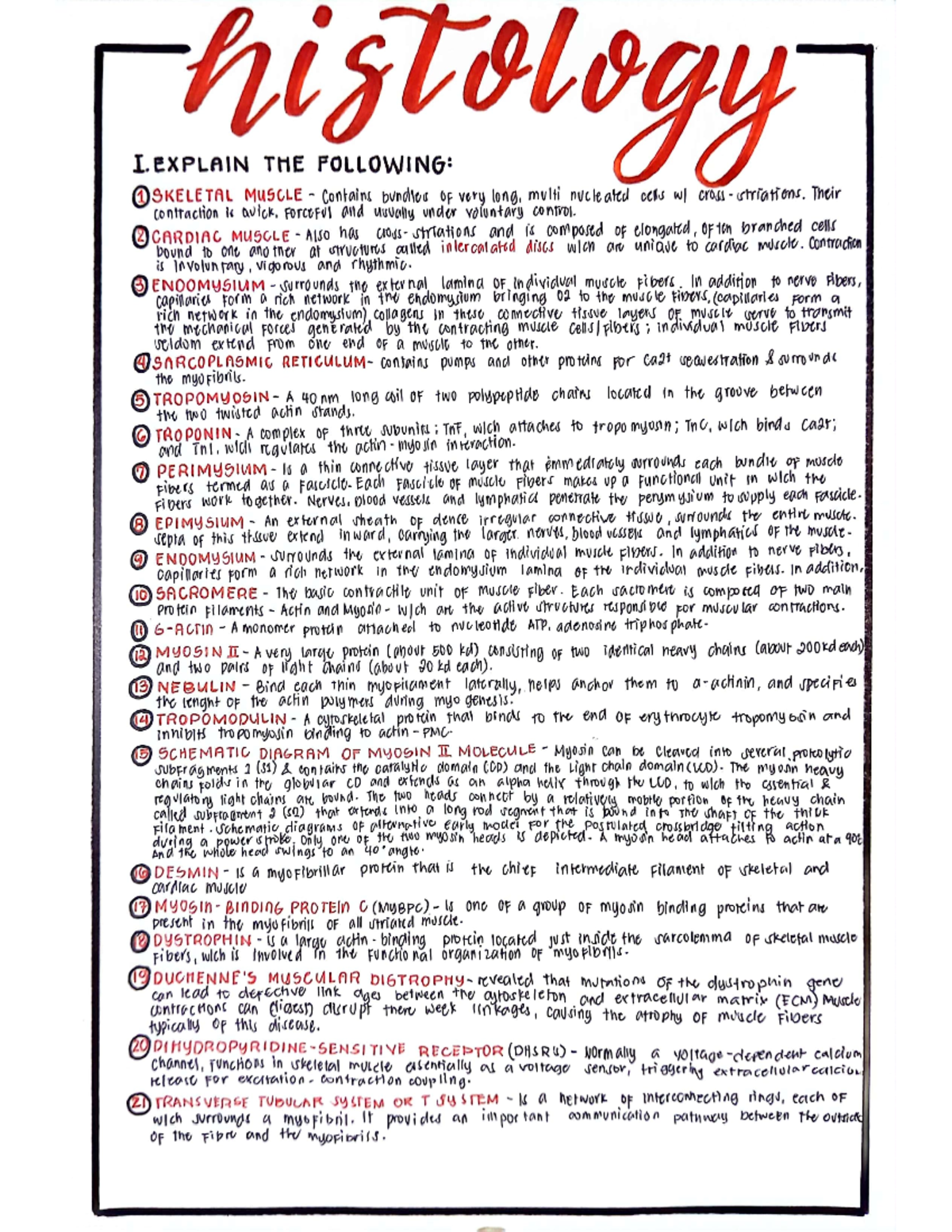 Cabigas, Angel Ann C - Microbiology and Parasitology - Studocu