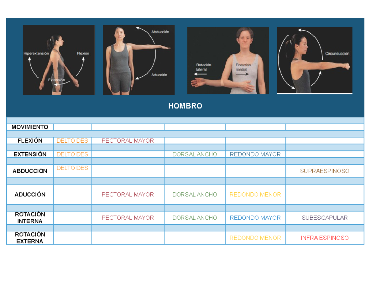 Analisis De Movimiento Flexion De Hombro