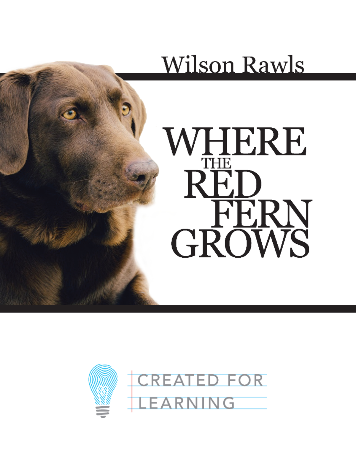 Wheretheredferngrowsplot Chart Arc Analysis Freytags Pyramid Diagram-1 ...