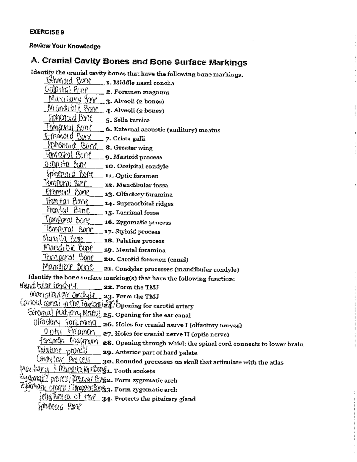 Leodan Beltran-Exercise 9, Reviewing Your Knowledge - EXERCISE 9 Review ...