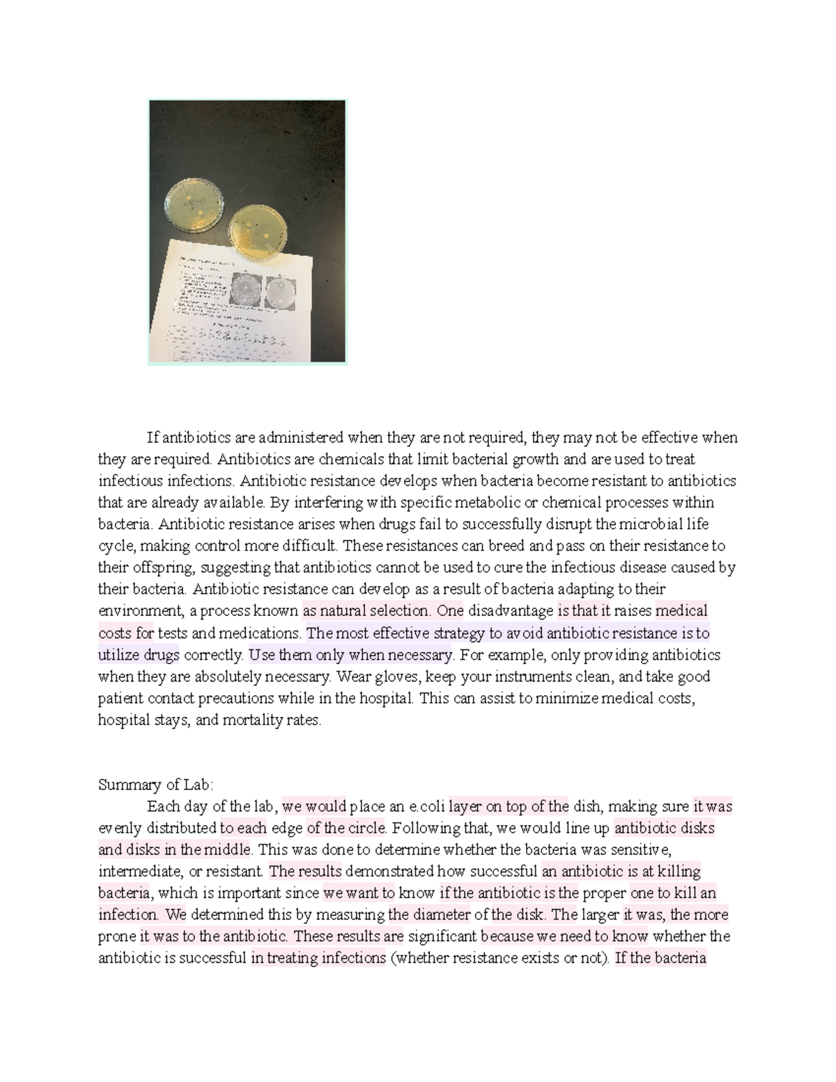 Lab conclusion - ecoli lab concluaion - If antibiotics are administered ...