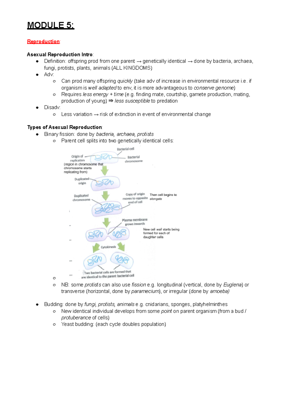 HSC Biology notes - MODULE 5: Reproduction: Asexual Reproduction Intro ...
